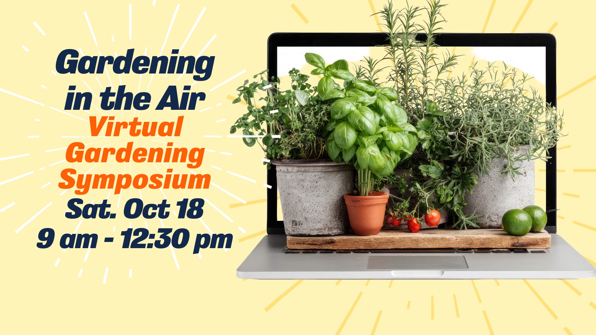 Gardening in the Air! Virtual Gardening Symposium | Serving Adams, Brown, Hancock, Pike and ...